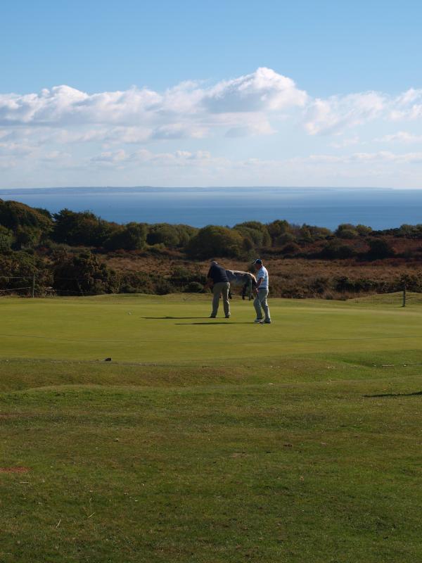 Hole by Hole Tour - Clyne Golf Club