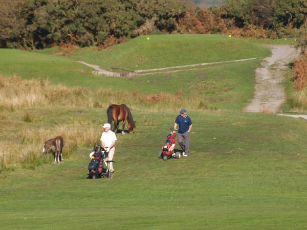 Hole by Hole Tour - Clyne Golf Club